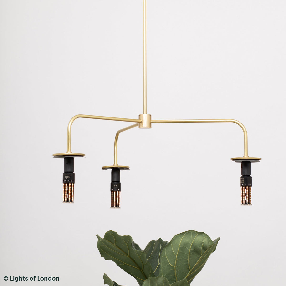 Light Engine I E14 Dim-to-Warm LED Bulb | E14 11W LED Bulb | Multipacks ...